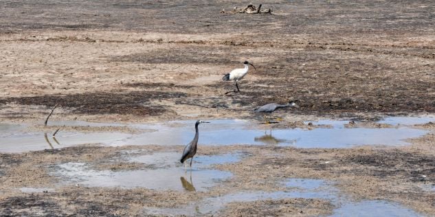 Fundamentals of Water Level Measurement